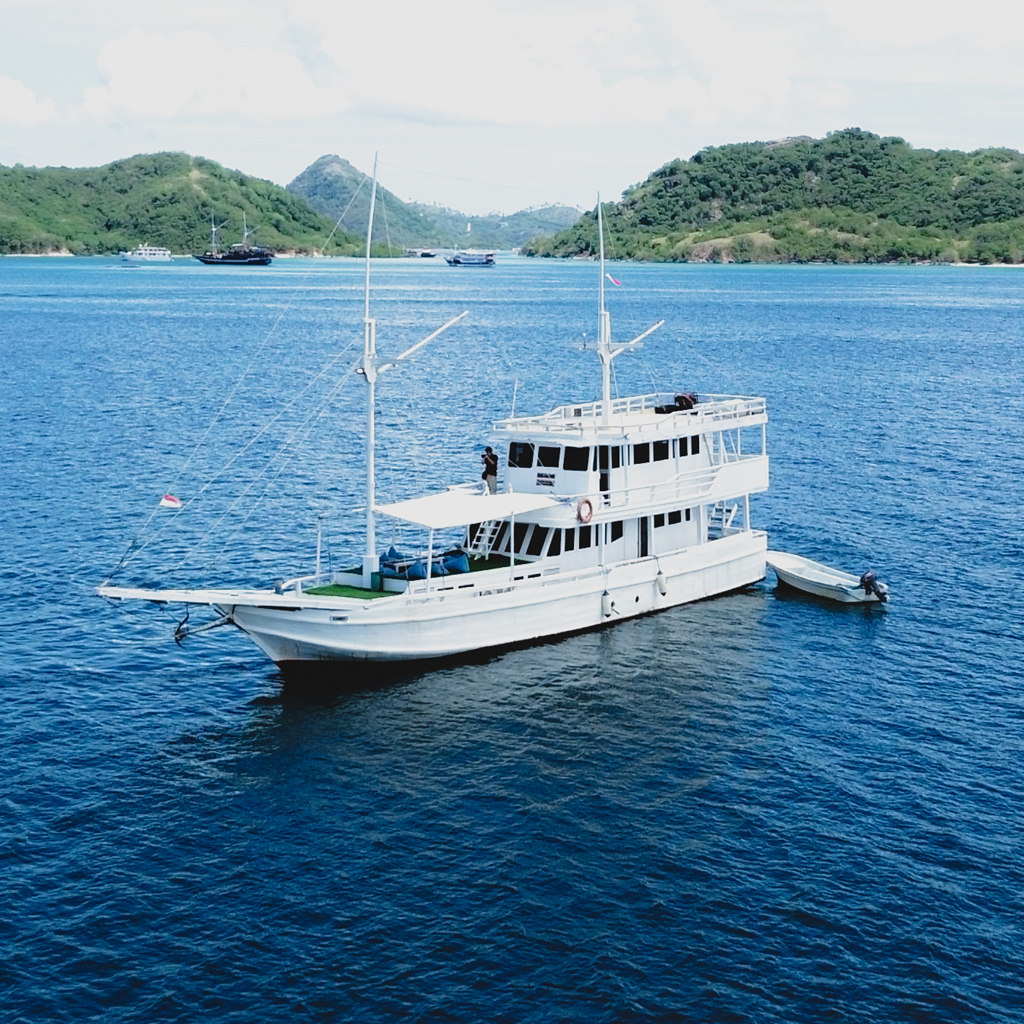 Arimbi Superior Boat – Komodo Day Cruise